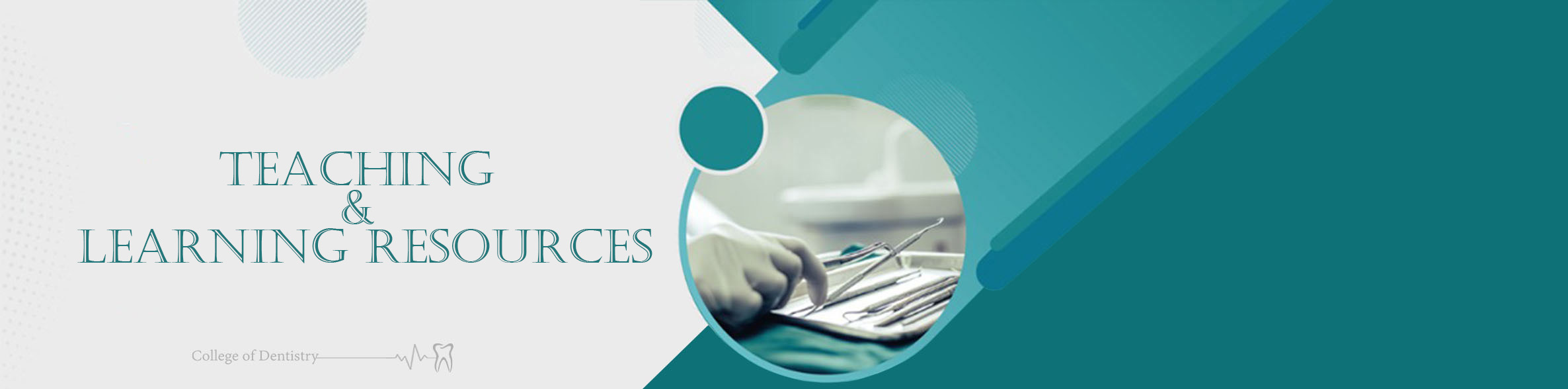 Teaching and Learning Resources